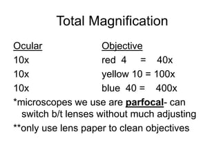 The_Microscope.ppt