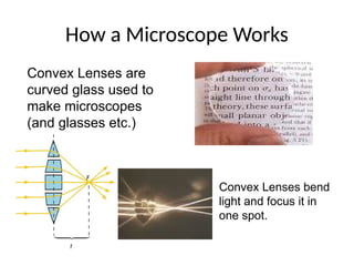The Microscope ,using of it and the types | PPT