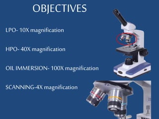The microscope and its historical development | PPTX