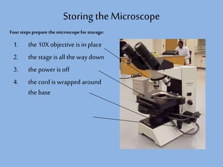 The microscope and its historical development | PPT