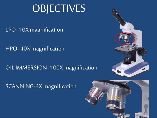 The microscope and its historical development