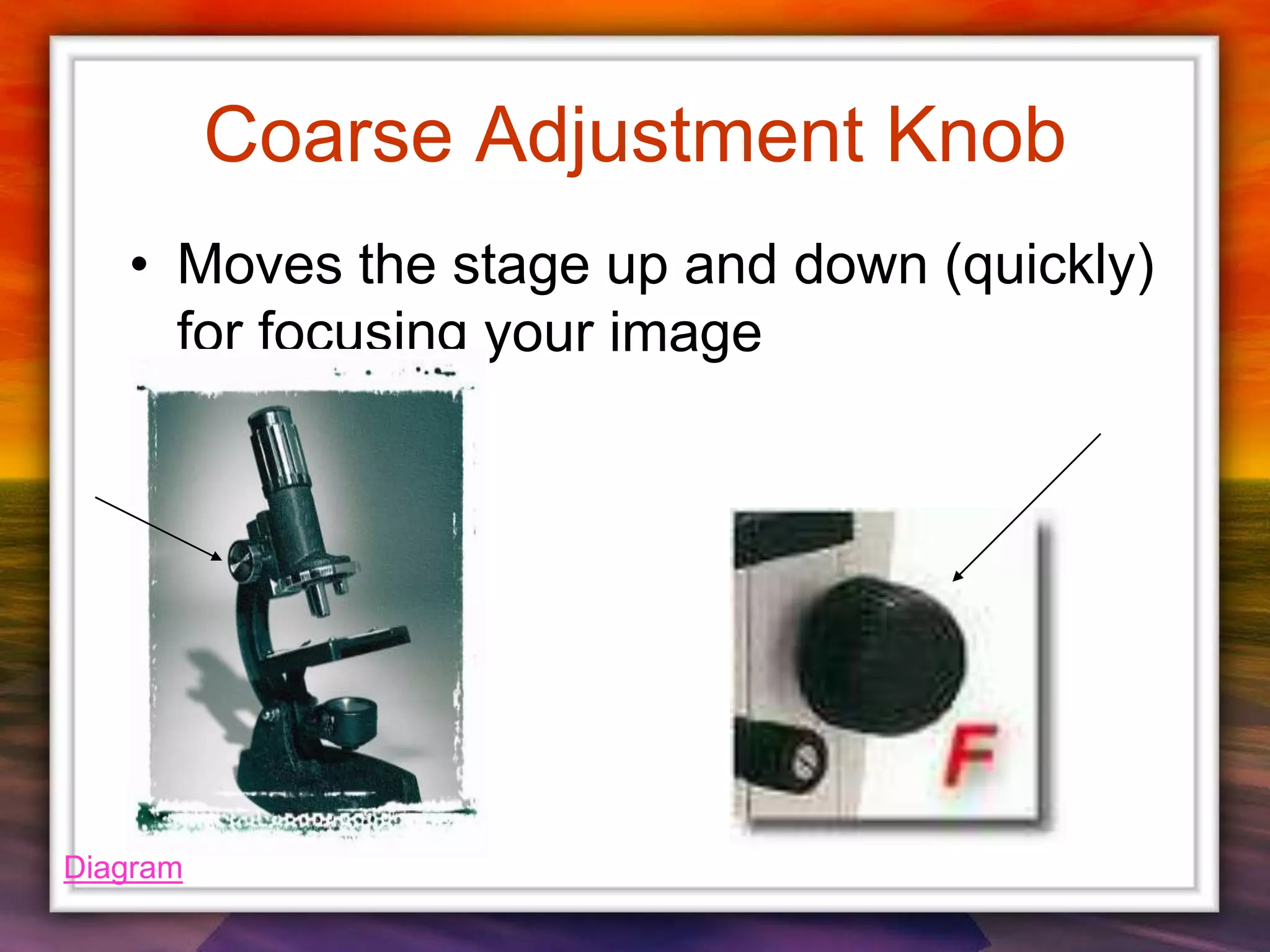 The microscope grade 7 | PPT