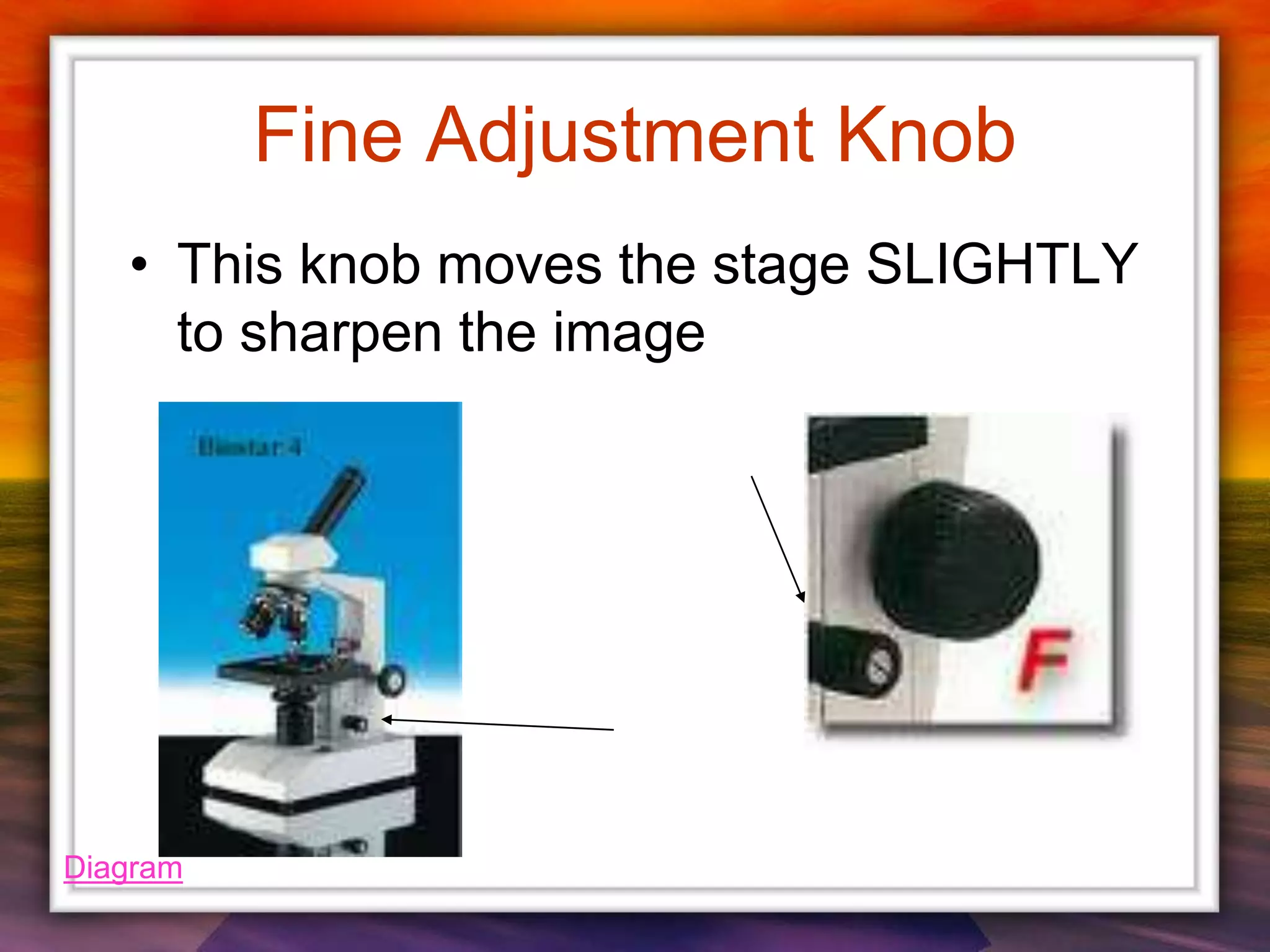The microscope grade 7 | PPT