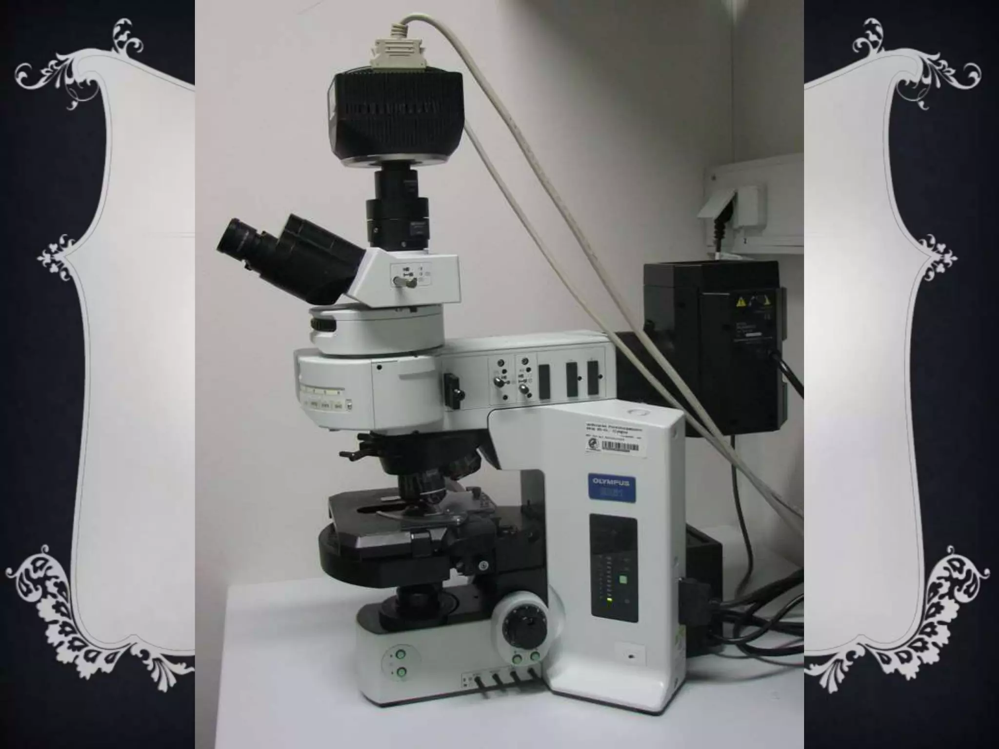 The microscope grade 7 | PPT