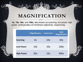 The microscope grade 7 | PPT