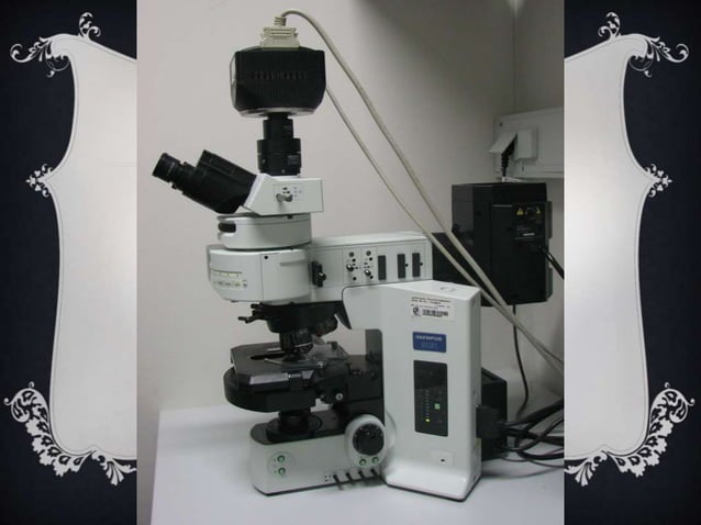 The microscope grade 7 | PPT