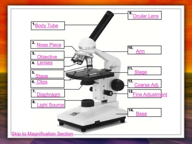 The microscope grade 7 | PPT
