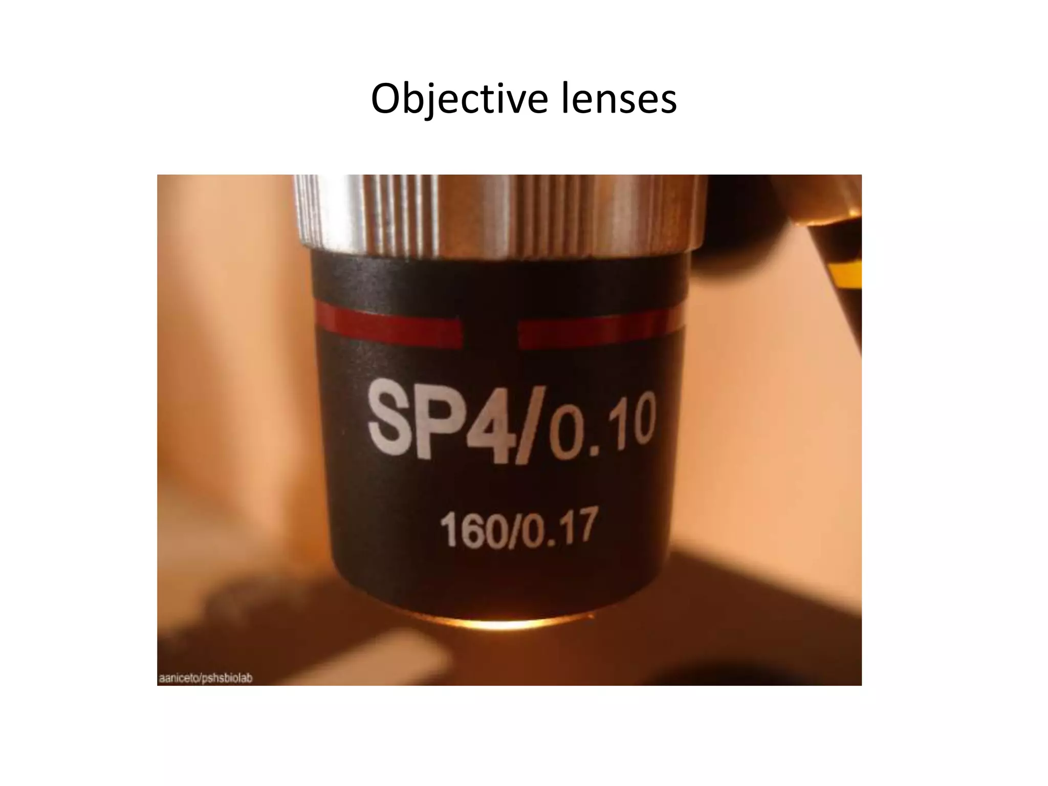 The microscope presentation | PPTX