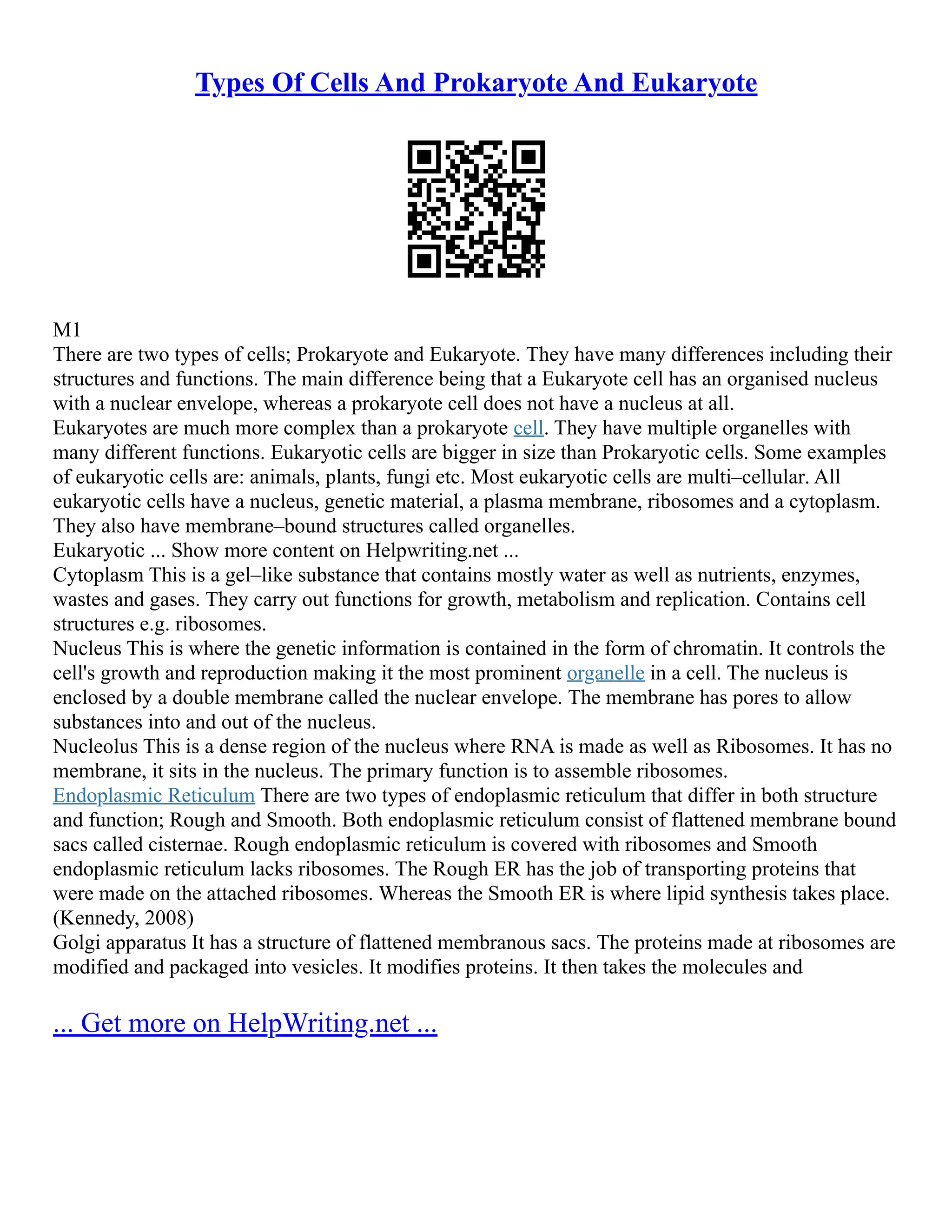 The Microstructure Of A Typical Animal Cell Essay | PDF | Biological ...