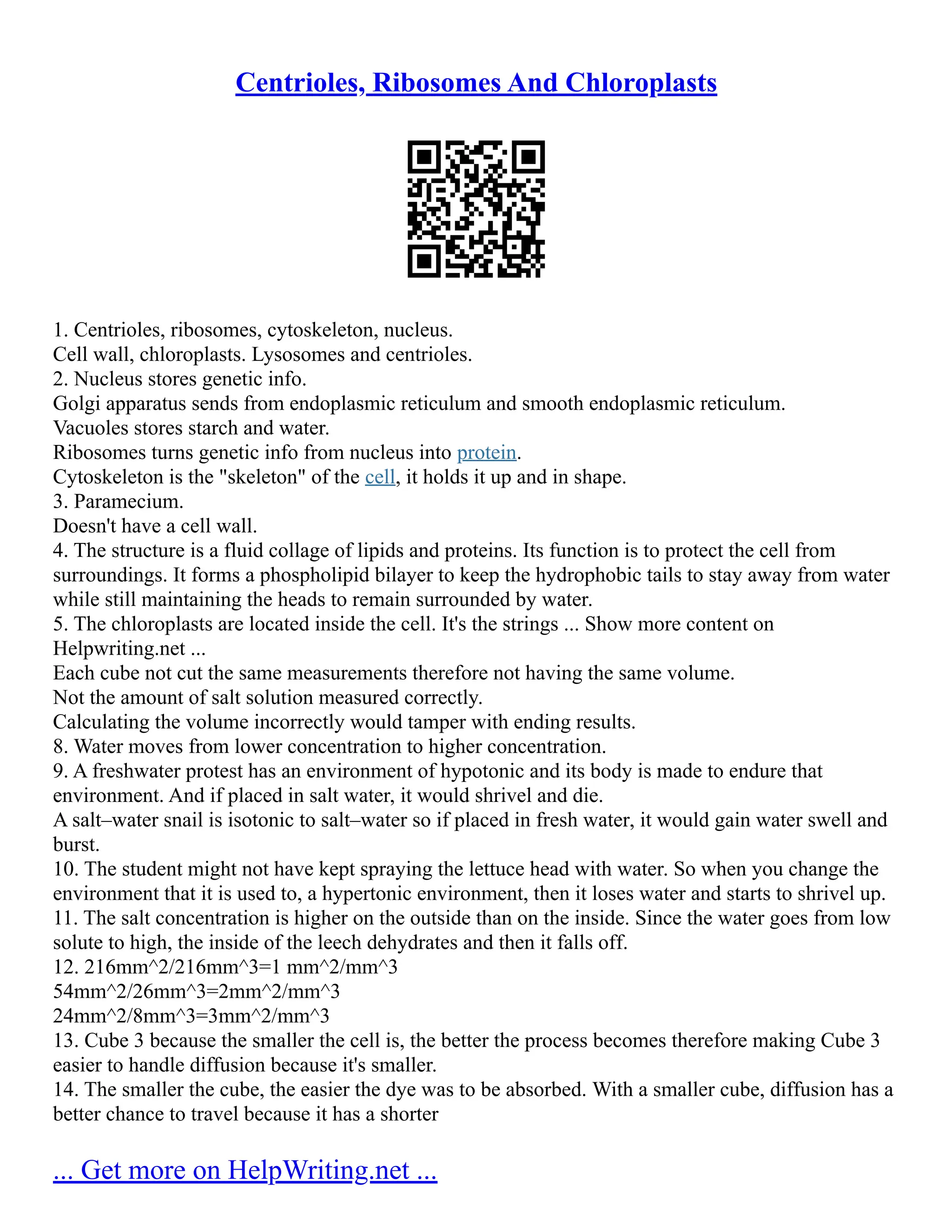 The Microstructure Of A Typical Animal Cell Essay | PDF | Biological ...