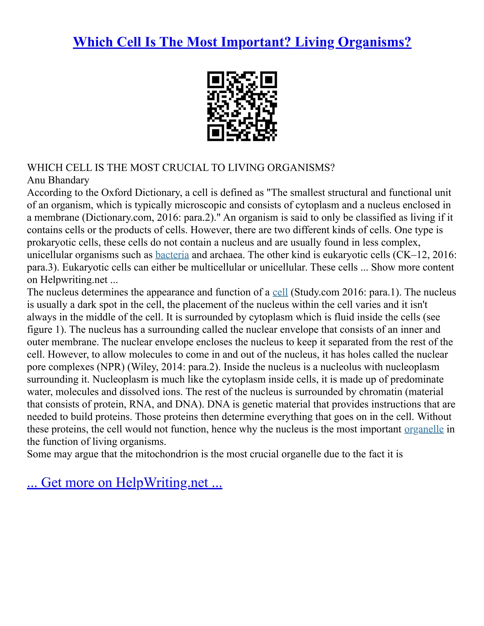 The Microstructure Of A Typical Animal Cell Essay | PDF | Biological ...