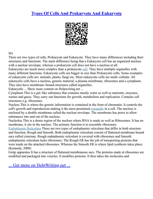 The Microstructure Of A Typical Animal Cell Essay | PDF | Biological ...