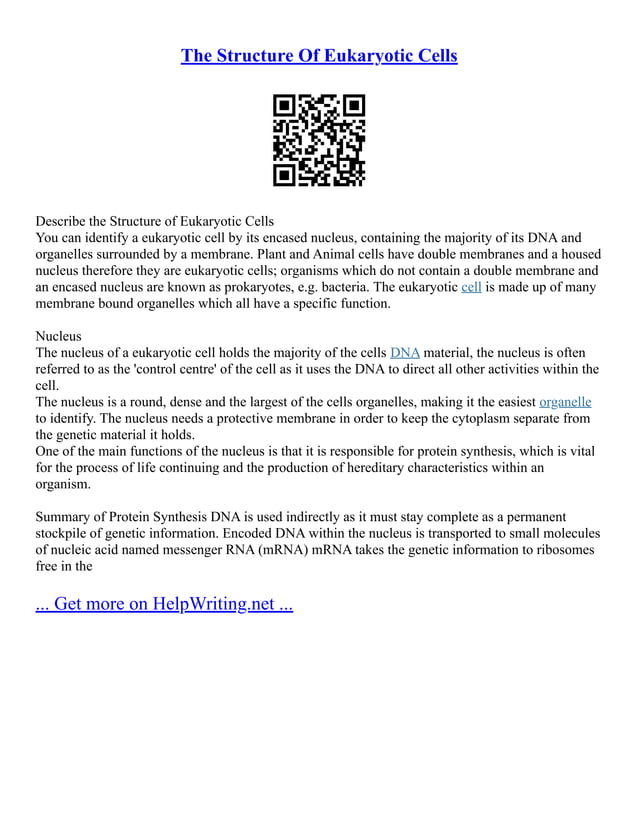 The Microstructure Of A Typical Animal Cell Essay | PDF | Biological ...