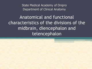 the midbrain лекция № 2.ppt