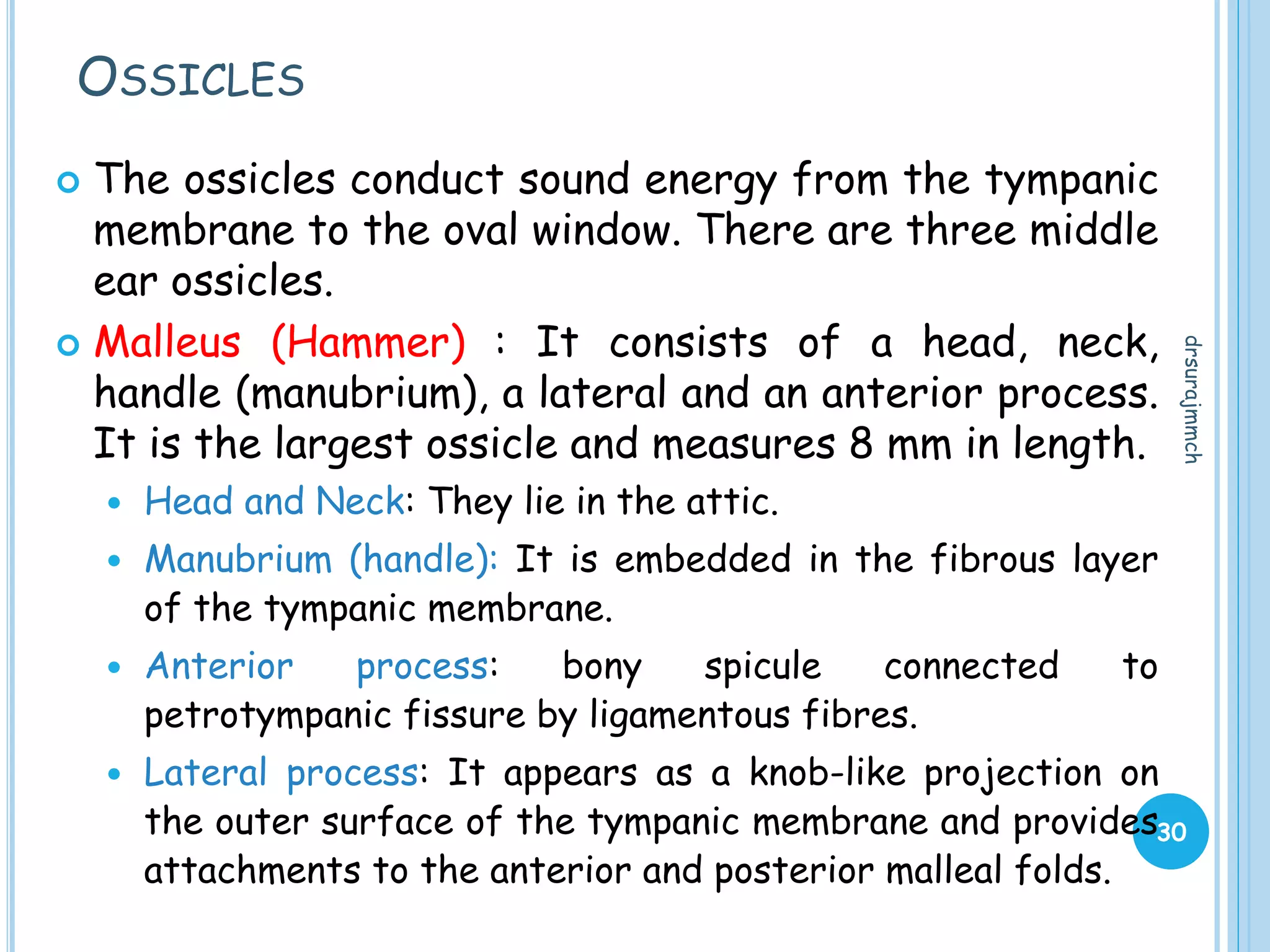 THE MIDDLE EAR | PPTX