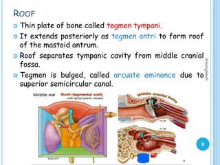 THE MIDDLE EAR | PPT