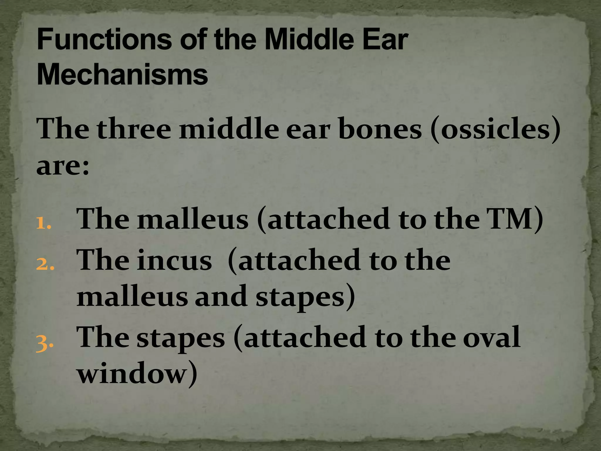 The middle ear mechanisms | PPTX