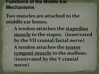 The middle ear mechanisms | PPTX