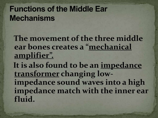 The middle ear mechanisms | PPTX | Ear, Nose and Throat Conditions ...