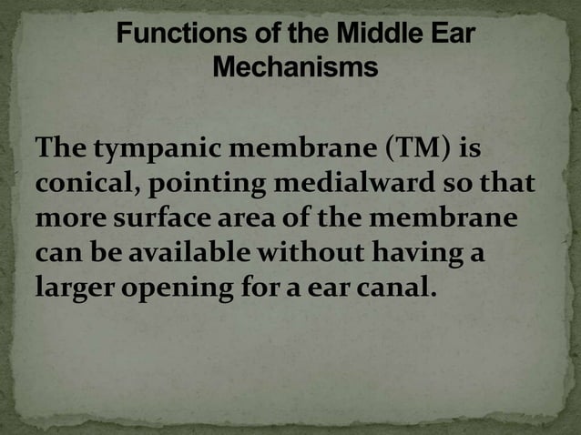 The middle ear mechanisms | PPTX | Ear, Nose and Throat Conditions ...