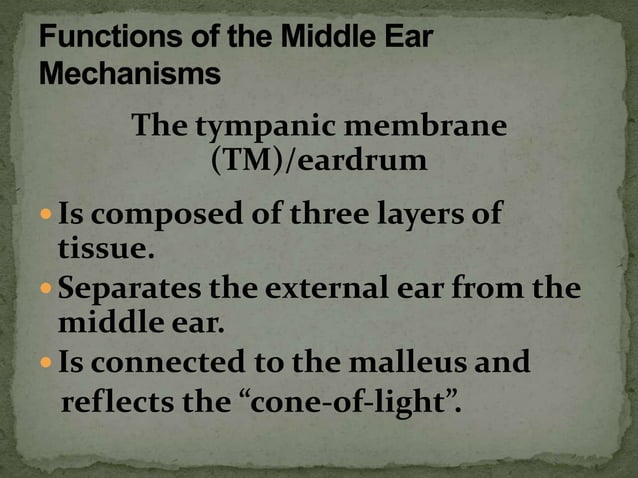 The middle ear mechanisms | PPTX | Ear, Nose and Throat Conditions ...