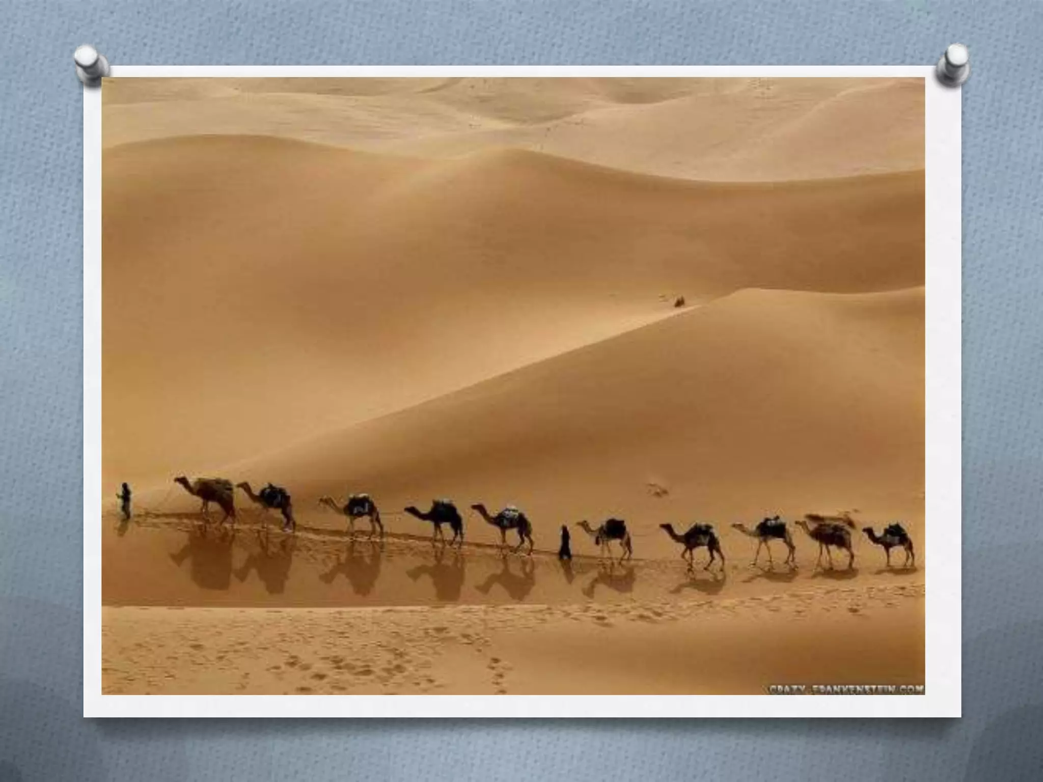 The Middle East- Introduction | PPTX