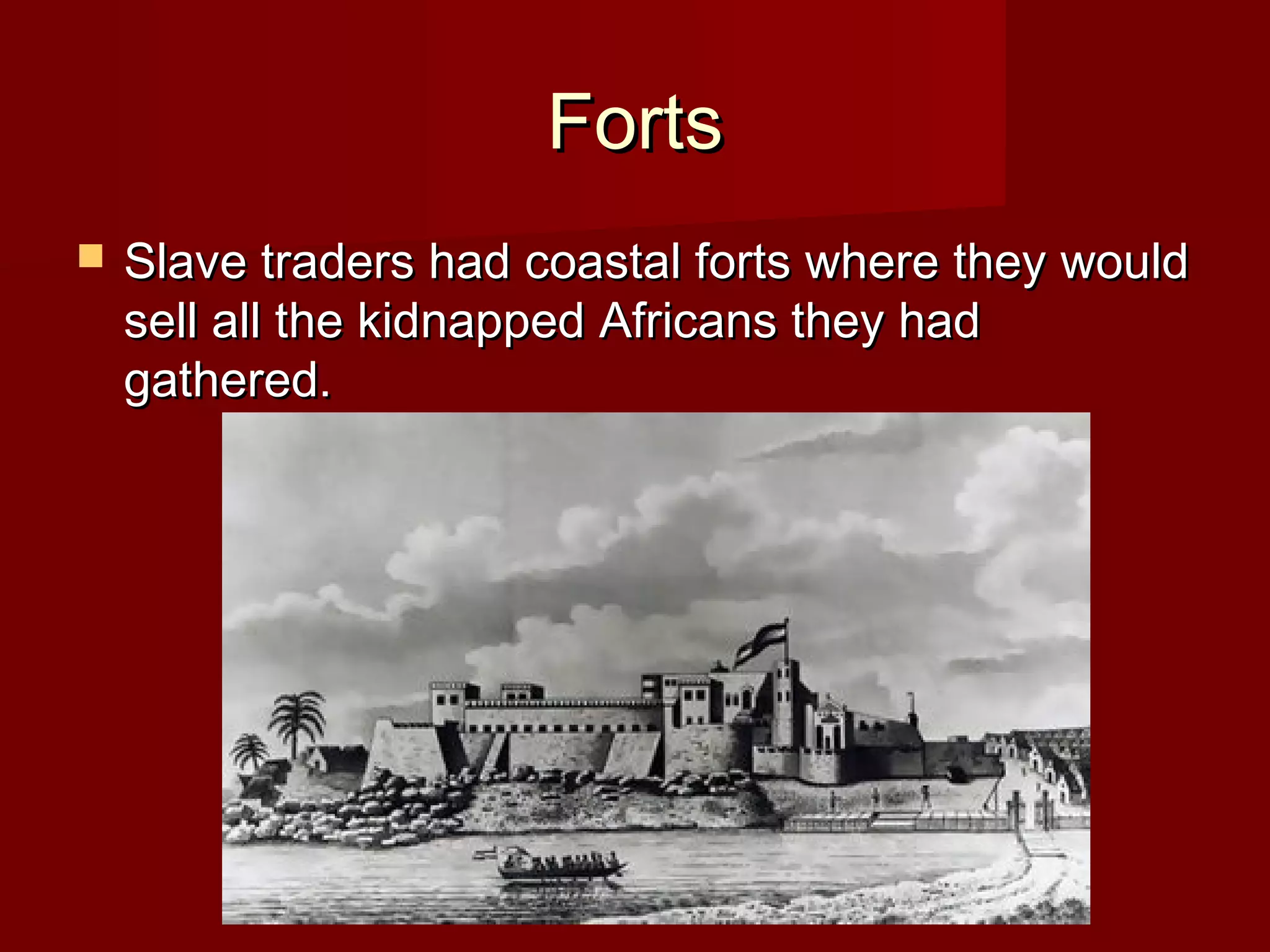 The middle passage | PPT
