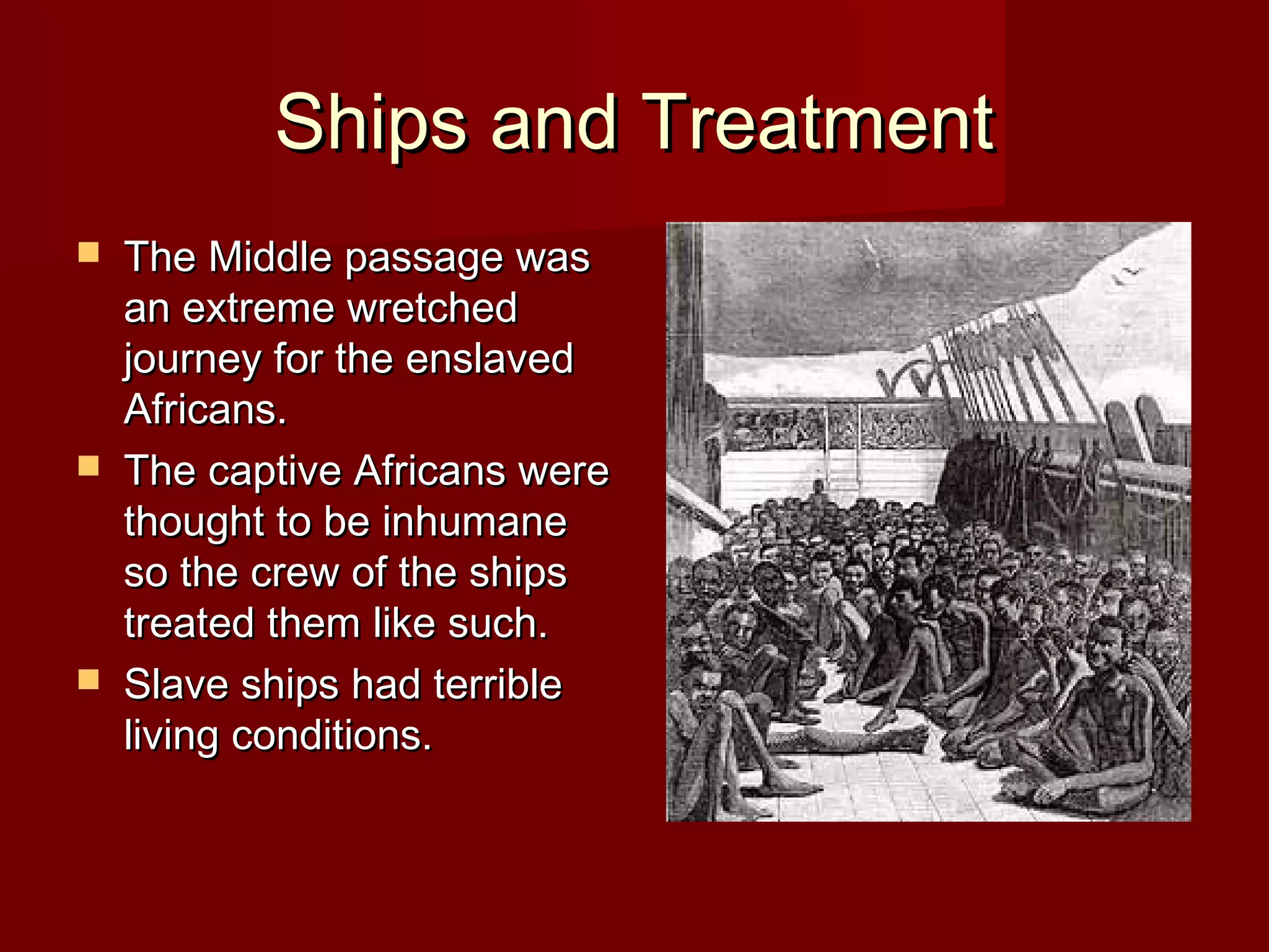 The middle passage | PPT