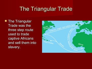 The middle passage | PPT