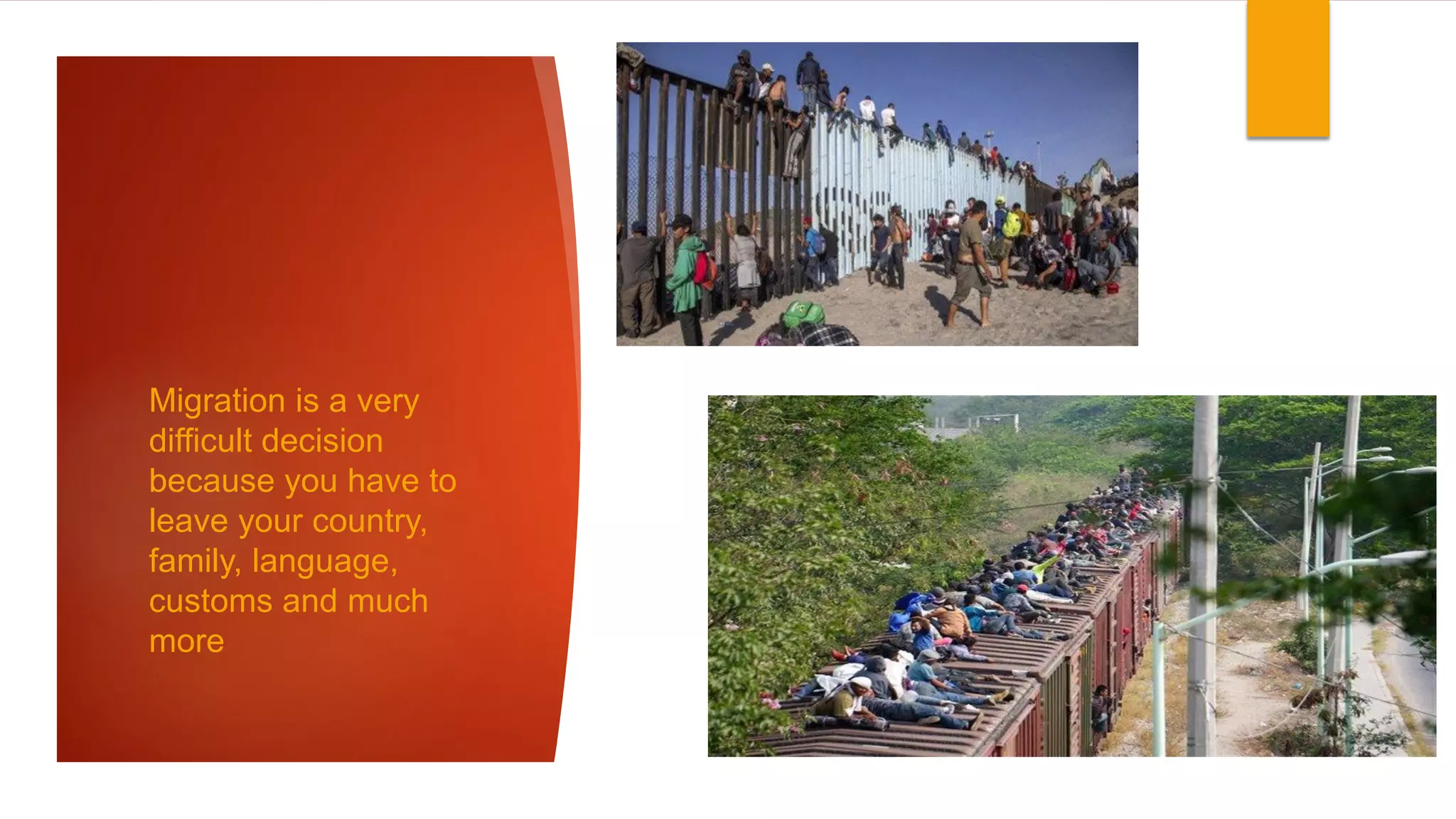 The migration | PPT