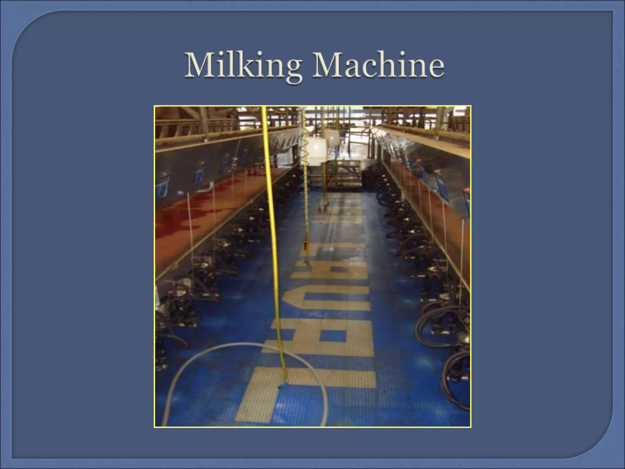 The Milking Machine.ppt