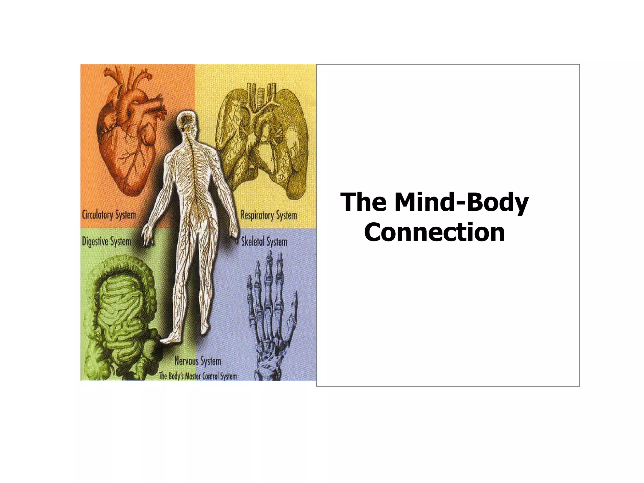 The mind body connection | PPT