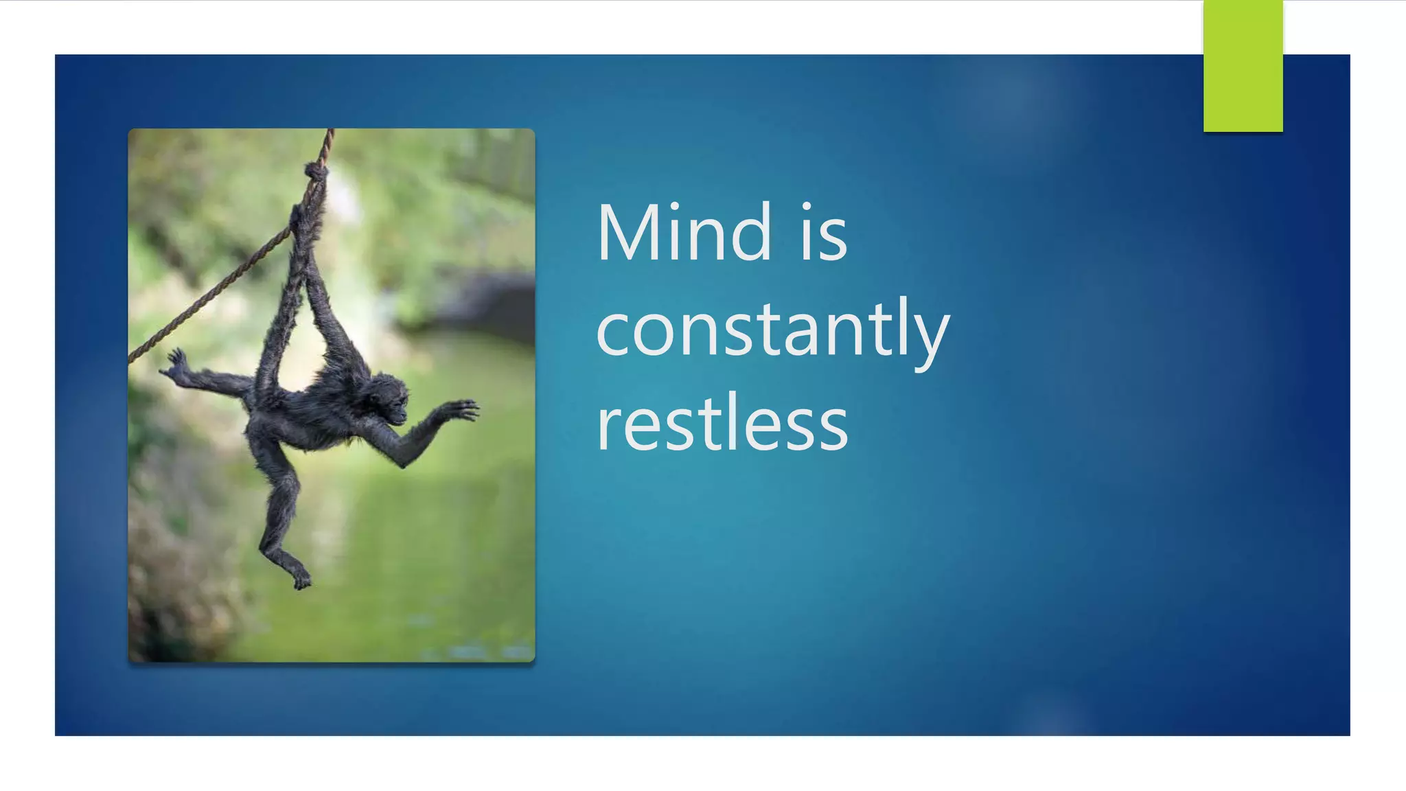 The mind is a monkey, don't let it make you a donkey | PPTX