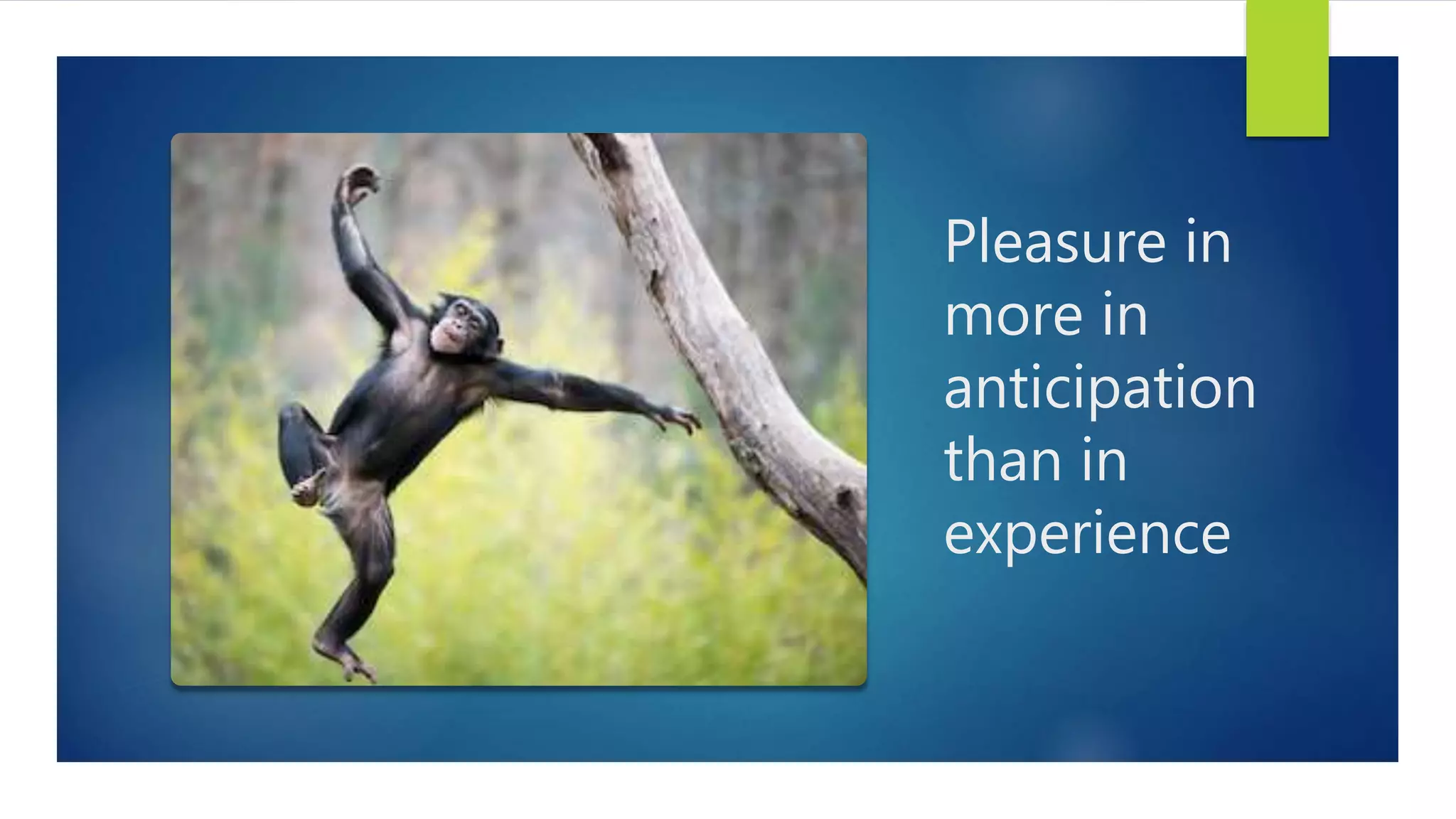 The mind is a monkey, don't let it make you a donkey | PPTX