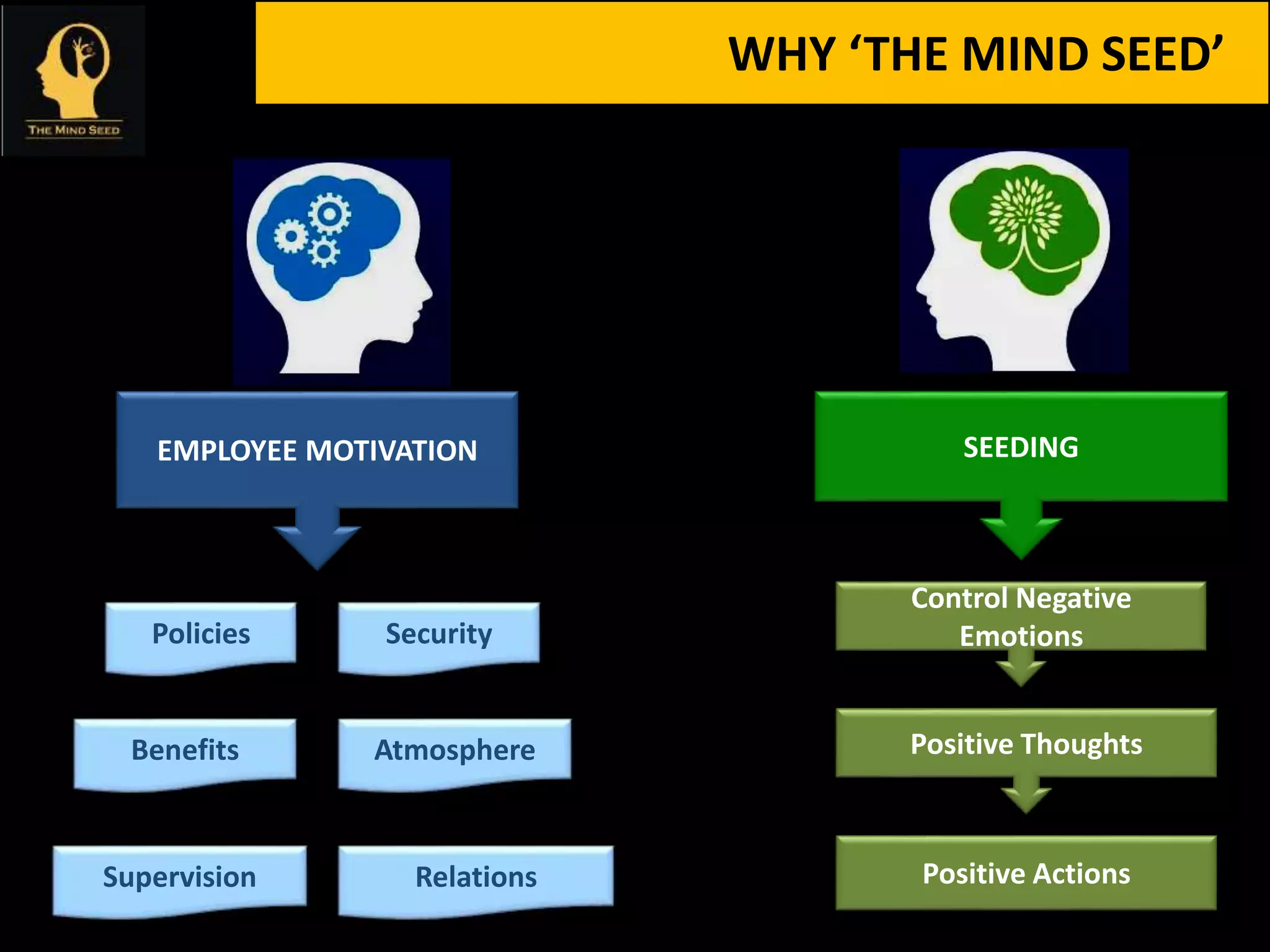 The mind seed profile PP | PPT