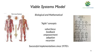 The Minimum Viable Organisation | PDF