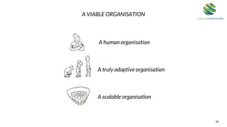 The Minimum Viable Organisation | PDF