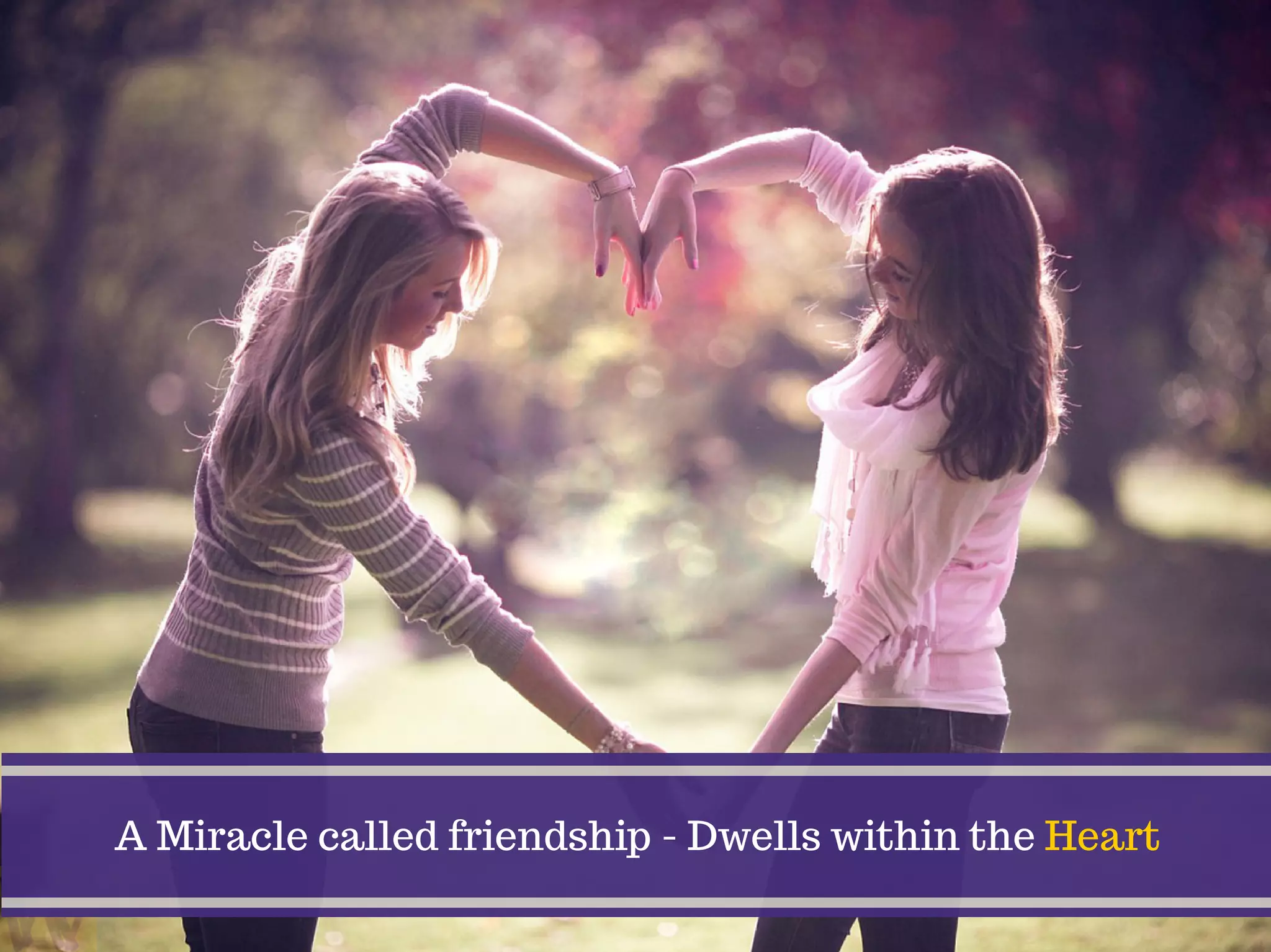 The Miracle Friendship | PDF