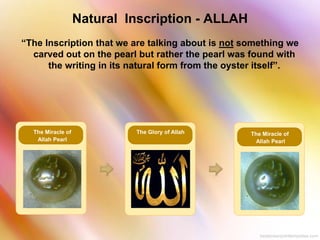 The miracle of allah pearl | PPSX