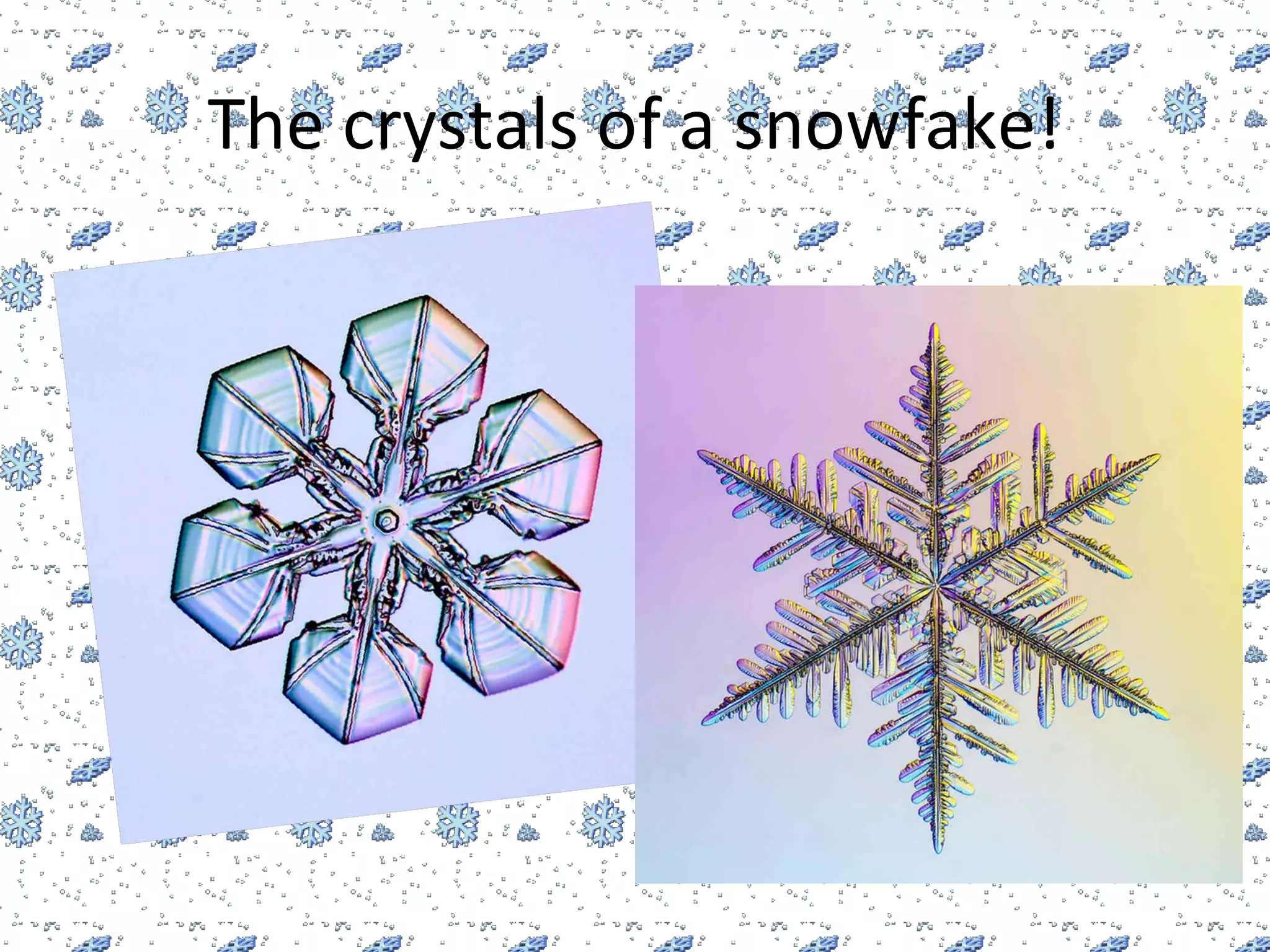 The miracle of snowflakes | PPS