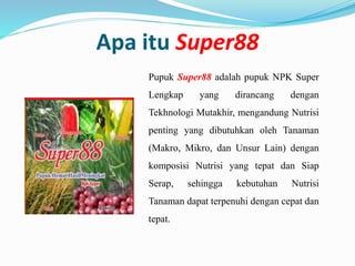 Slideshow Pupuk Super88 | The miracle of super88 | PPTX