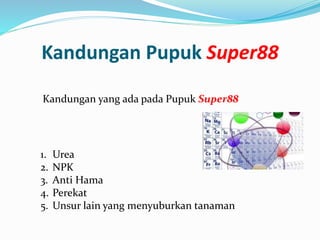 Slideshow Pupuk Super88 | The miracle of super88 | PPTX