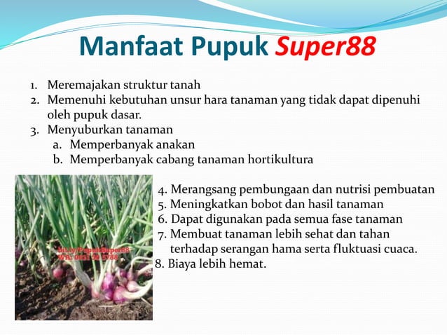Slideshow Pupuk Super88 | The miracle of super88 | PPTX