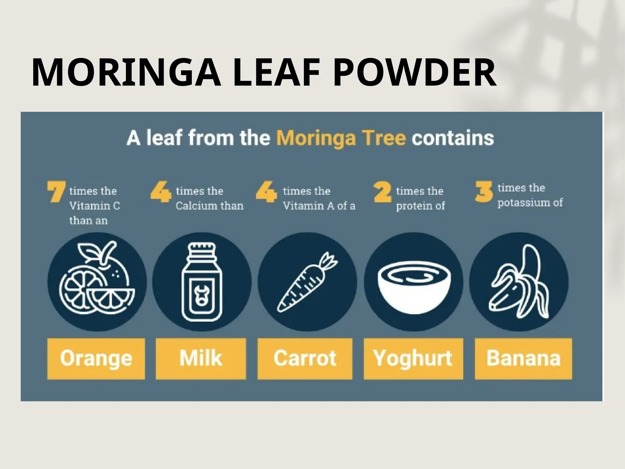 Moringa "The Miracle Tree"(By products and Value added products) | PPTX