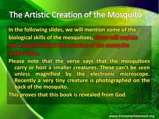 The miraculous creation of mosquitoes is hinted at the quran | PPSX