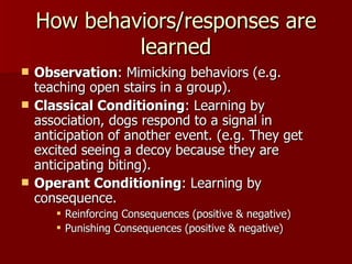 The misapplication of force in police dog training | PPT