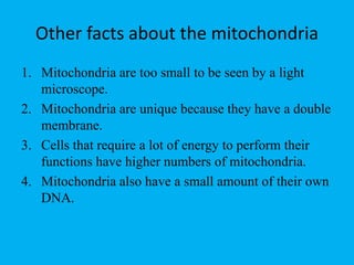 The mitochondria | PPTX