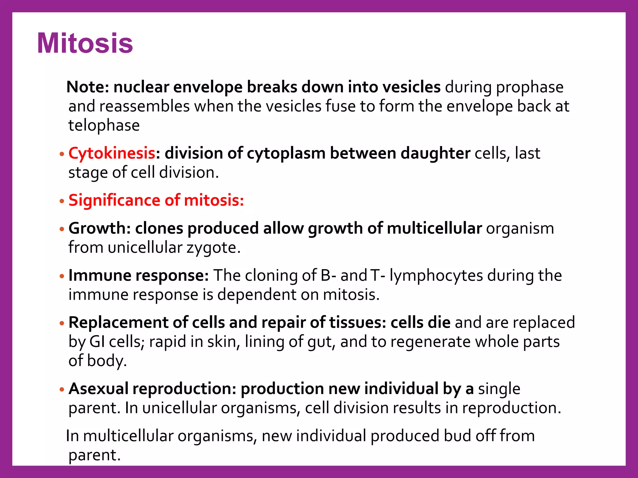 The mitotic cell cycle | PDF
