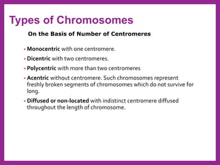 The mitotic cell cycle | PDF