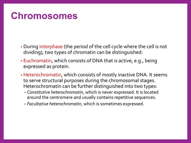 The mitotic cell cycle | PDF